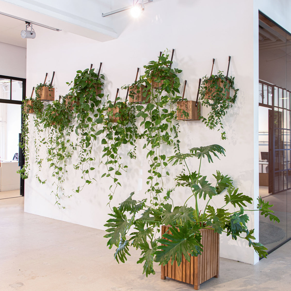 Biophilic office design - The science and benefits – SQUARELY