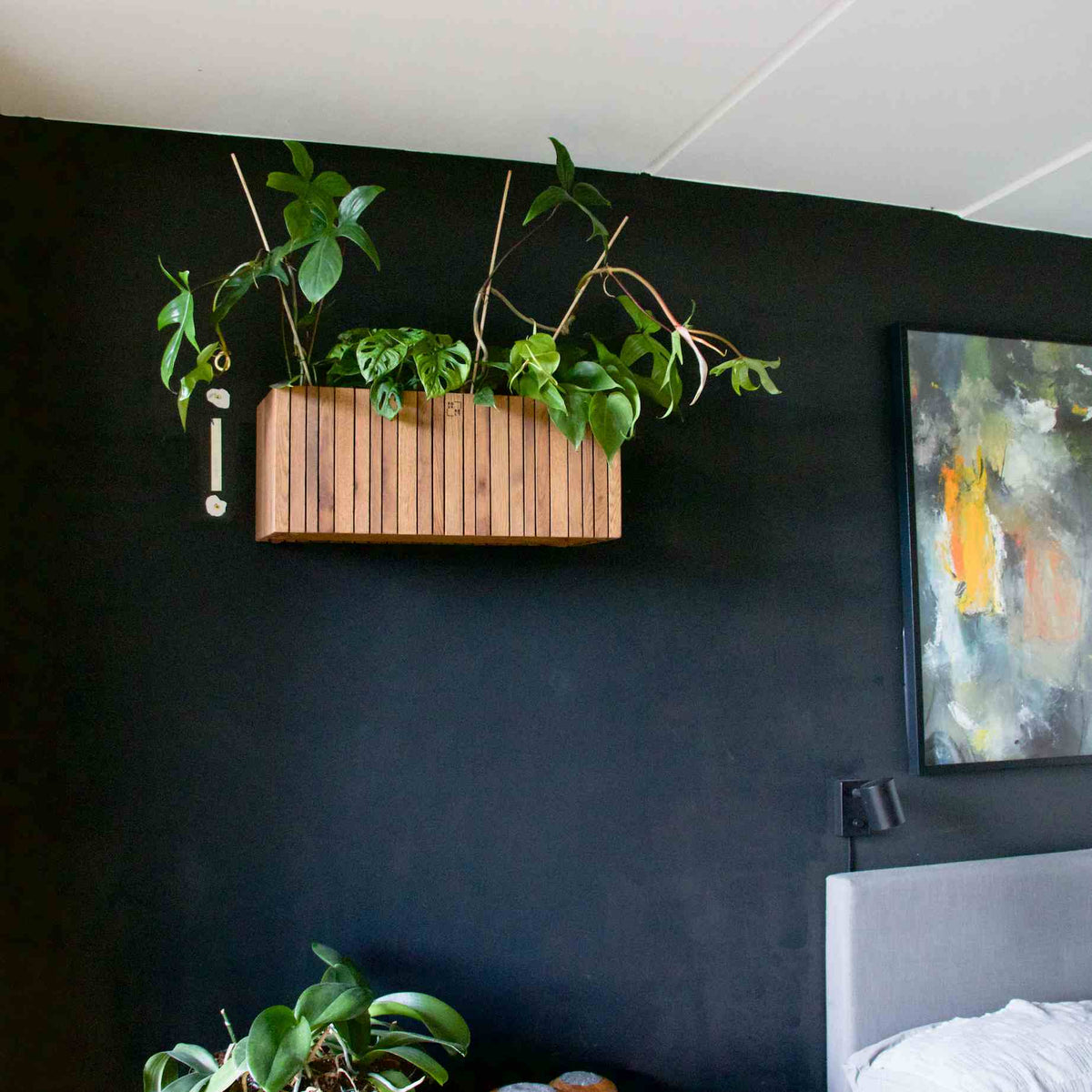 GrowWIDE Dunkle Eiche | Pflanzgefäße für die Wand – SQUARELY