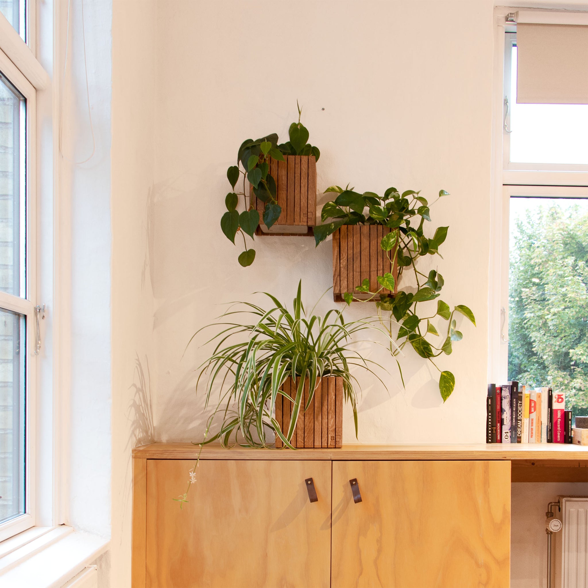 GrowOn | Shop SQUARELY sustainable design self-watering planter
