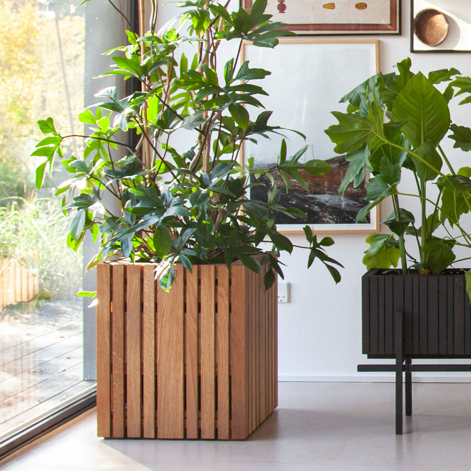 GrowBig Dark Oal | Shop SQUARELY nachhaltiges Design Outdoor-Pflanzer